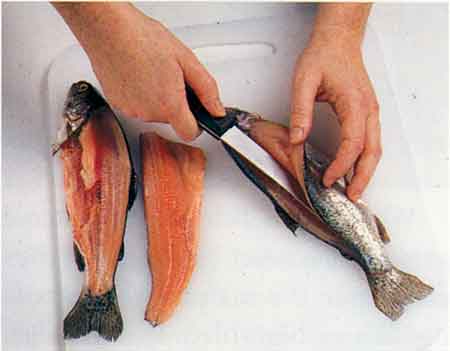 Fish: How to Clean, How to Choose, How to Store and More - RecipeMatic