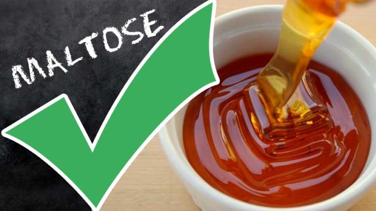 Maltose - RecipeMatic