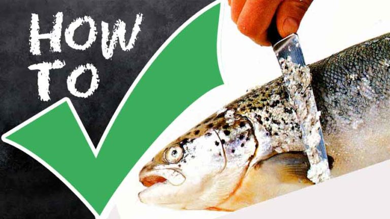 How to Scale a Fish - RecipeMatic