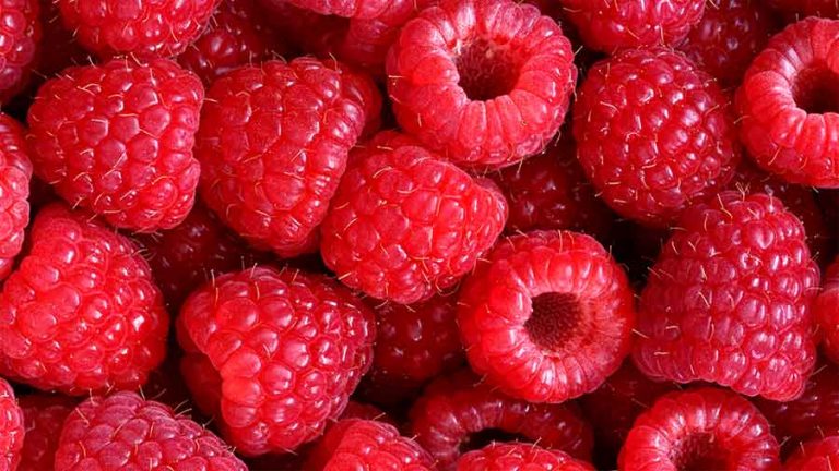 How to Choose, How to Store, How to Use Raspberries & Recipes with ...