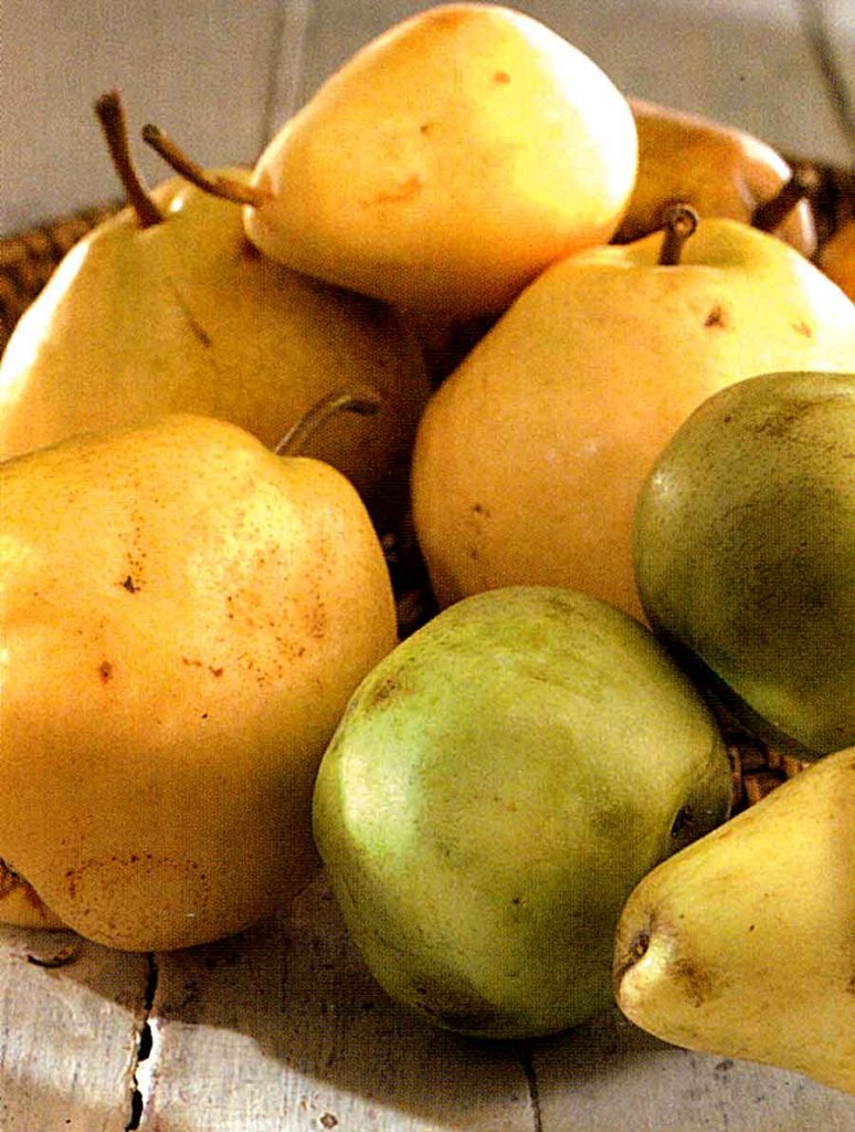 How to Choose Pears, How to Store Pears, Benefits of Pears, How to Use ...
