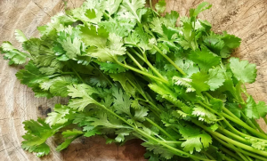 Coriander - RecipeMatic